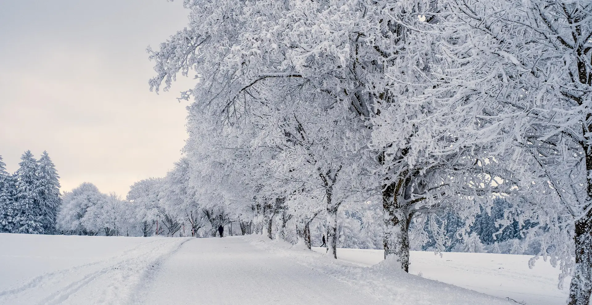 Snow Removal - Sebert Landscaping Company